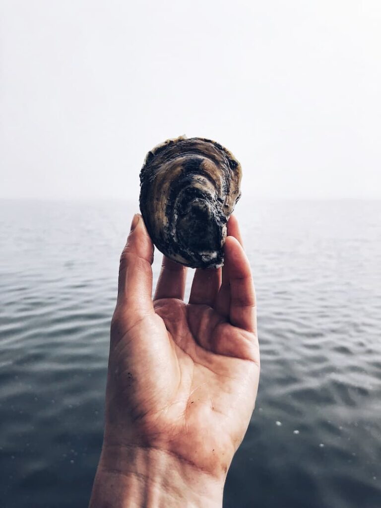 Seawool - Creative Tech Textile Co., Ltd.